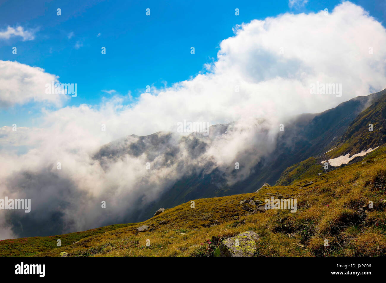 Beautiful landcape scene forest hi-res stock photography and images - Alamy