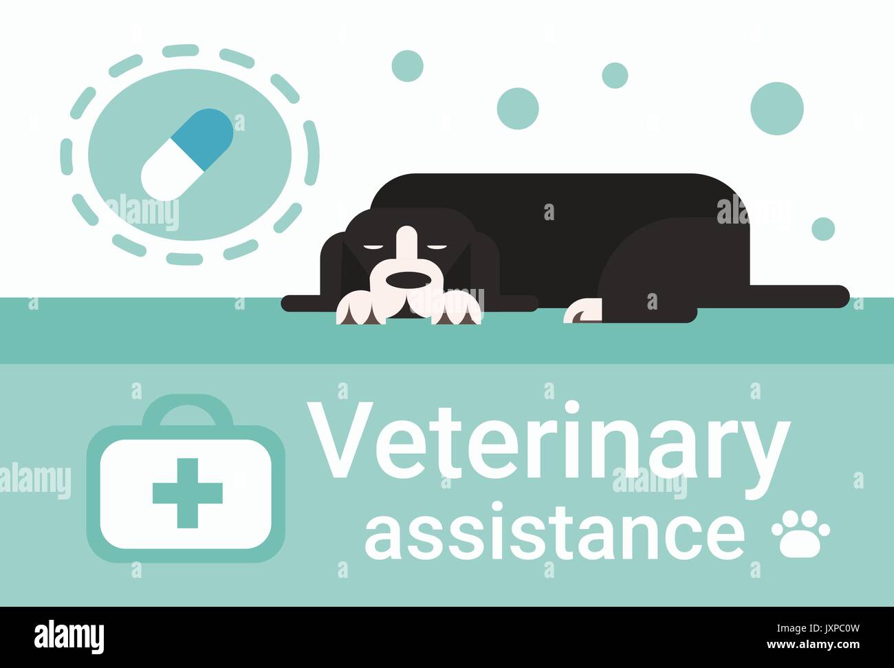 Veterinary clinic banner dog cat hi-res stock photography and images ...