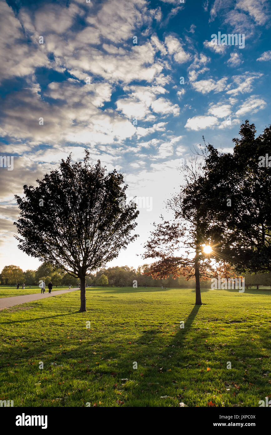Greenwich park london sunset hi-res stock photography and images - Alamy