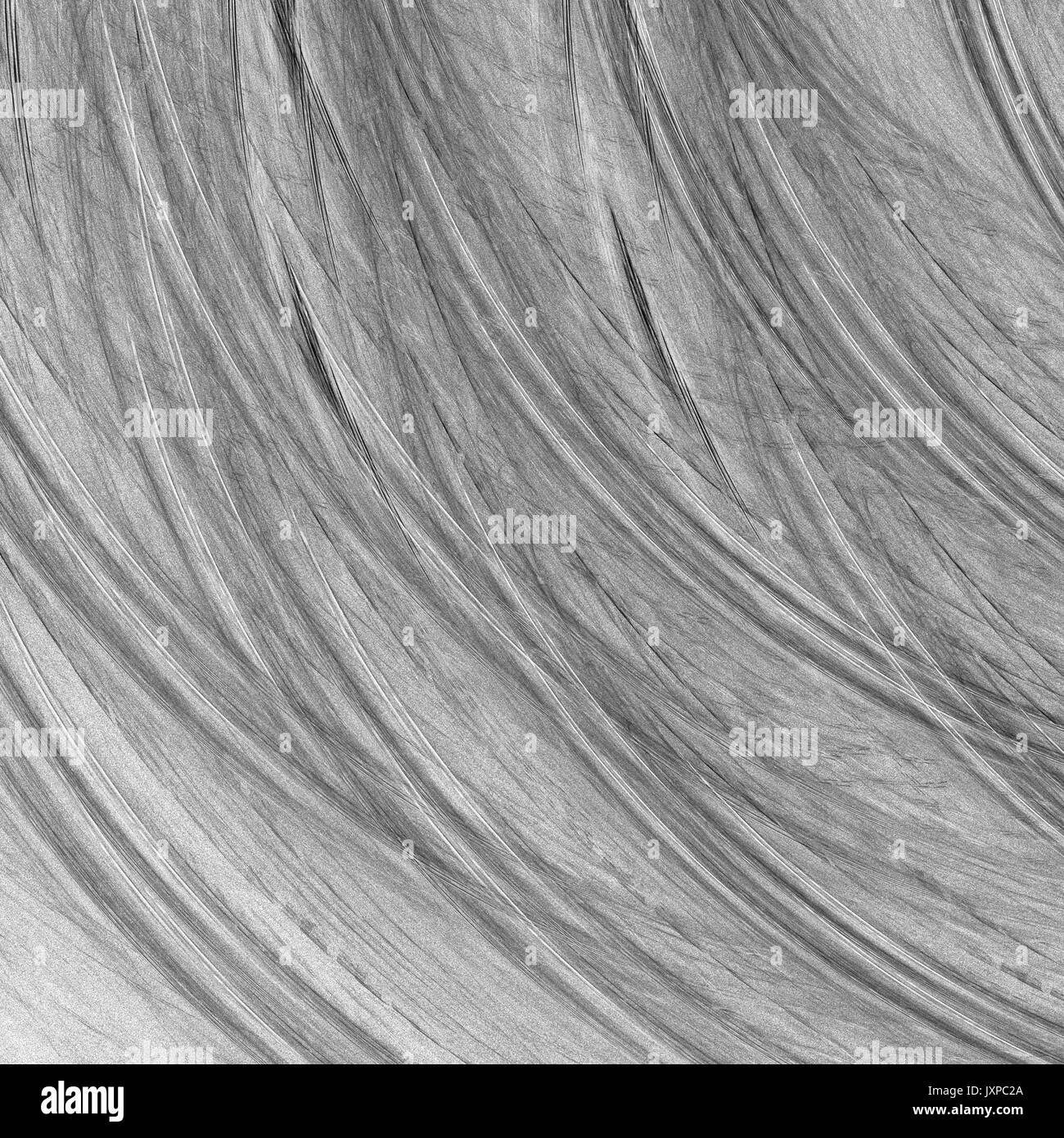 Abstract grunge black texture pattern on white background. Rough noise ...