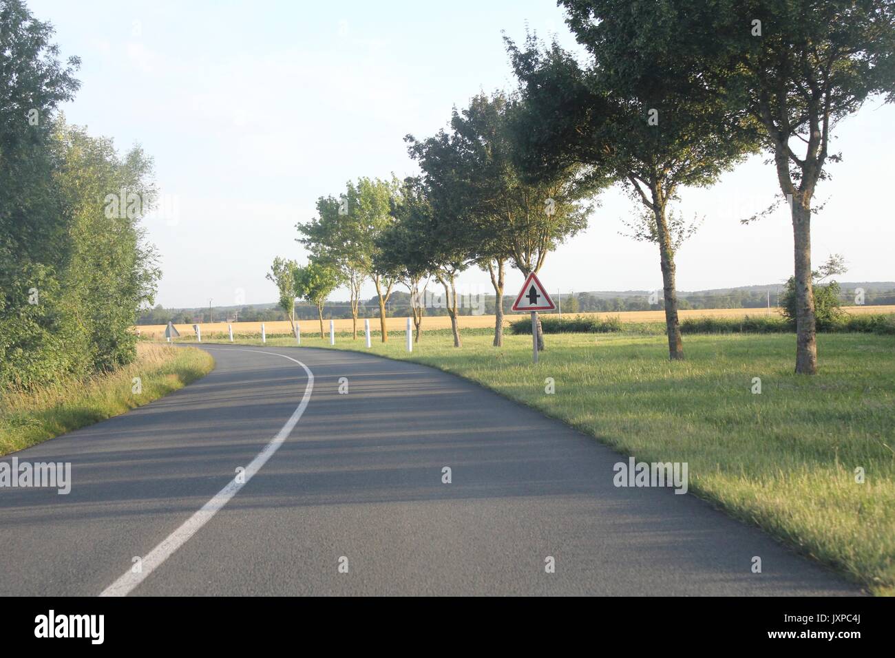 French tree hi-res stock photography and images - Alamy