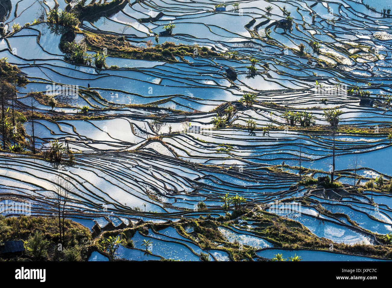 Yuanyang terrace in Yunnan Province,China Stock Photo - Alamy