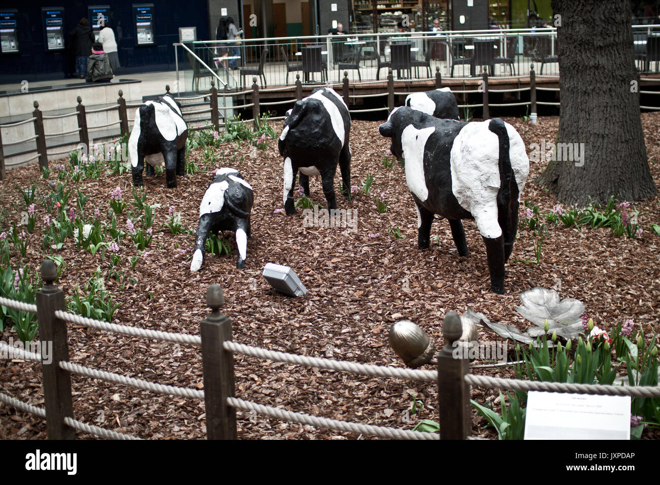View of Concrete Cows on display at Midsummer Place shopping centre ...