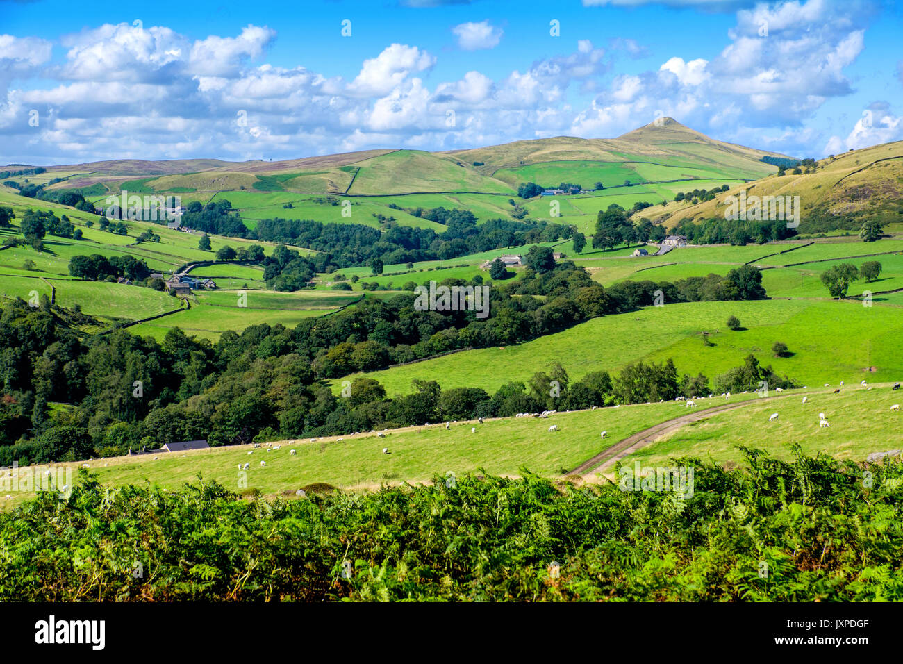 View towards Shutlinsloe above Wildboarclough in the Peak District ...