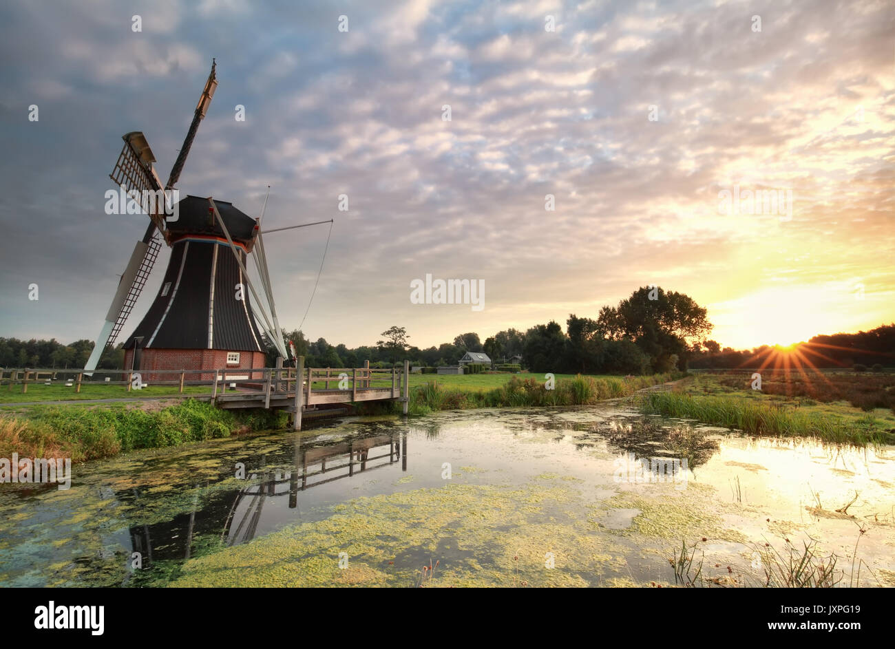 morning sunshine over samll pond and windmill in Holland Stock Photo ...