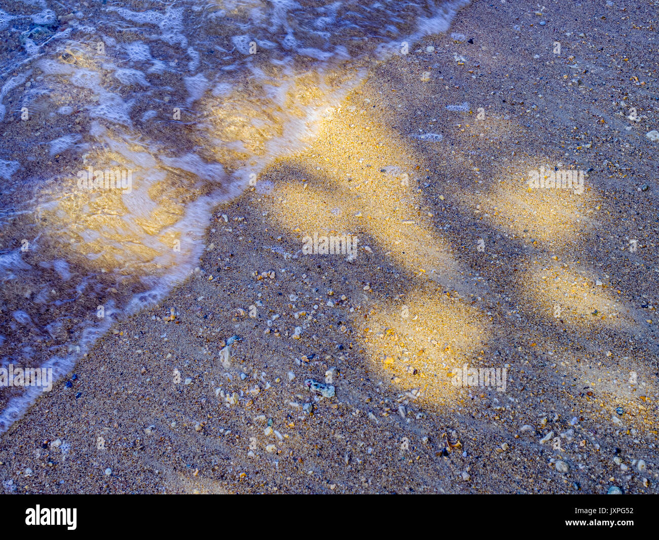 Dappled patterns hi-res stock photography and images - Alamy