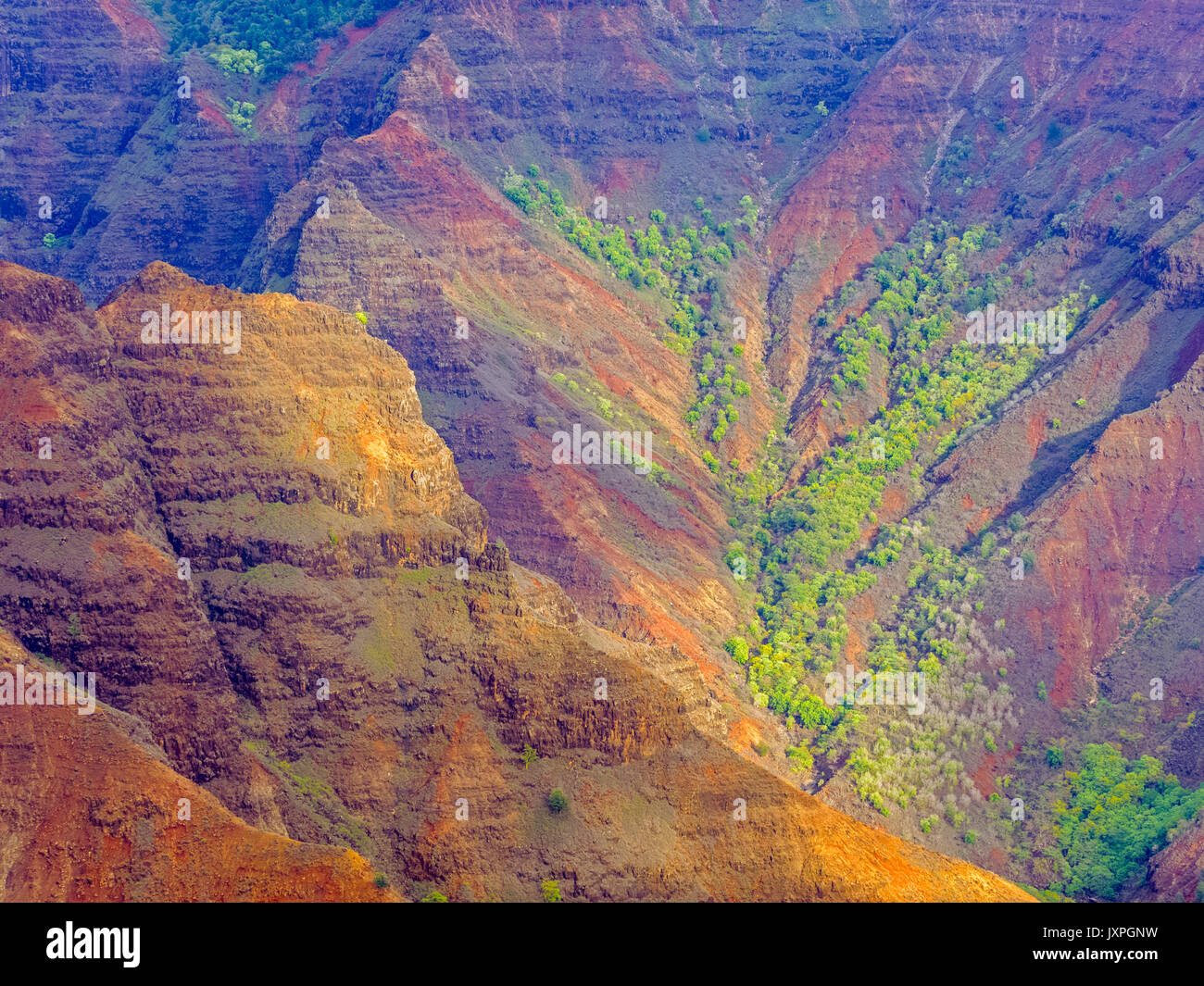 Waimea Canyon State Park, Kauai Stock Photo - Alamy
