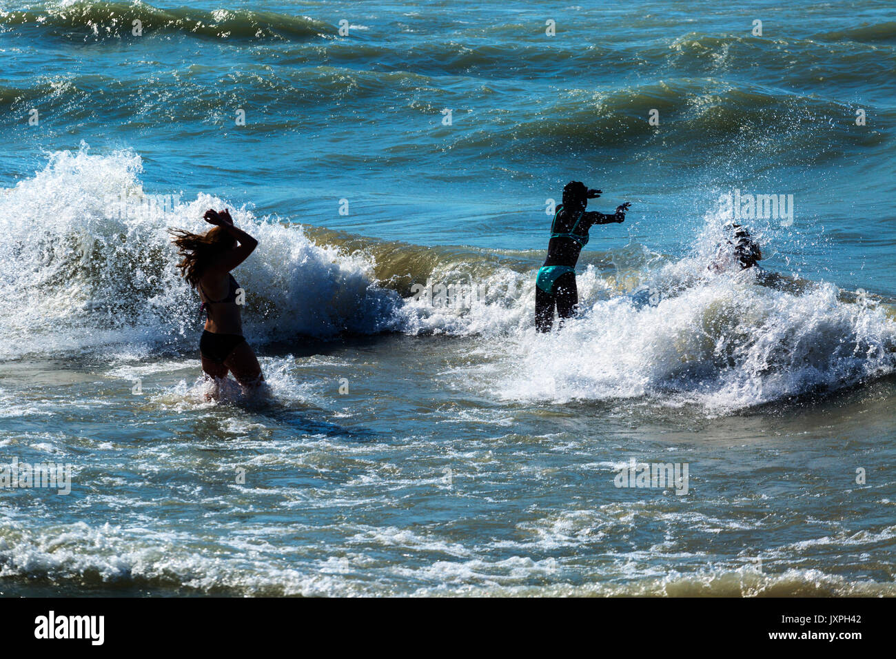 Swim big bend hi-res stock photography and images - Alamy