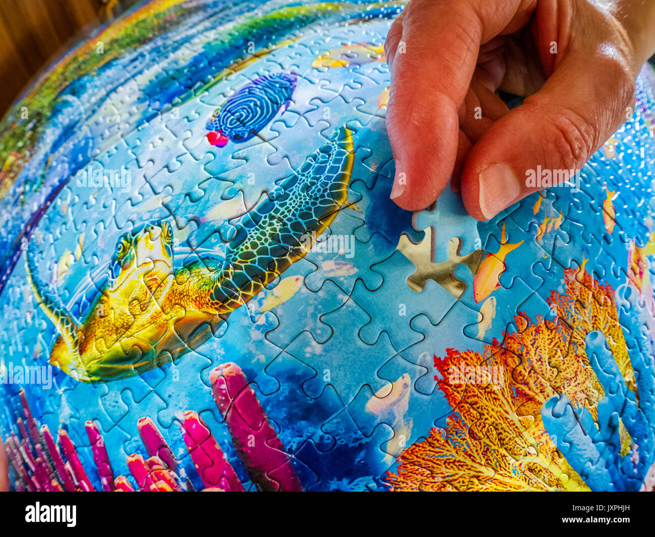 Creative puzzle piece concept teamwork hi-res stock photography and ...