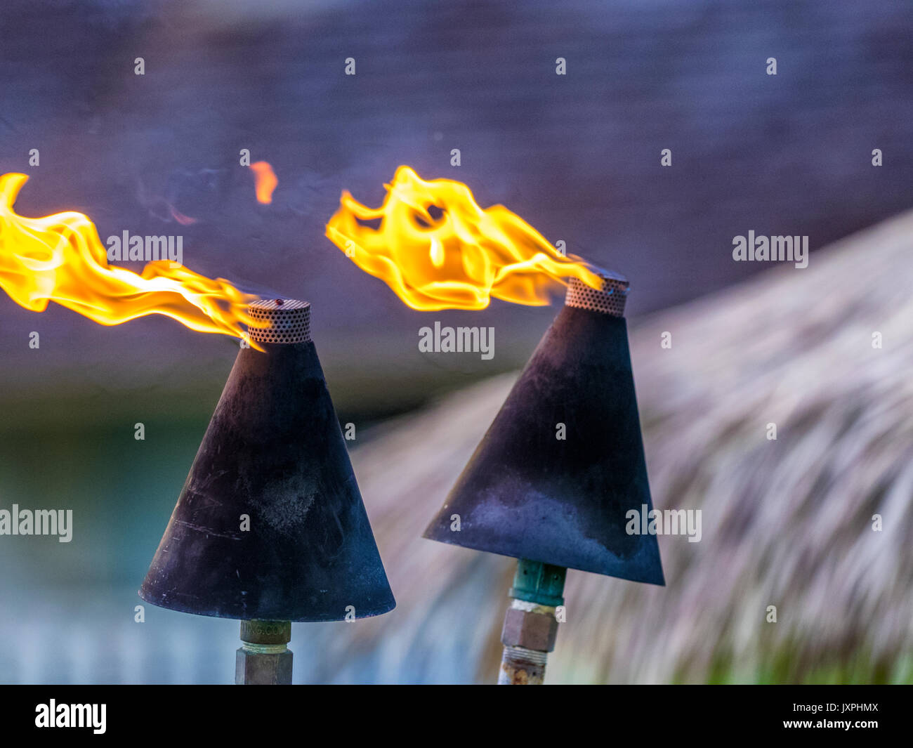 Tiki torch on Kauai Stock Photo - Alamy