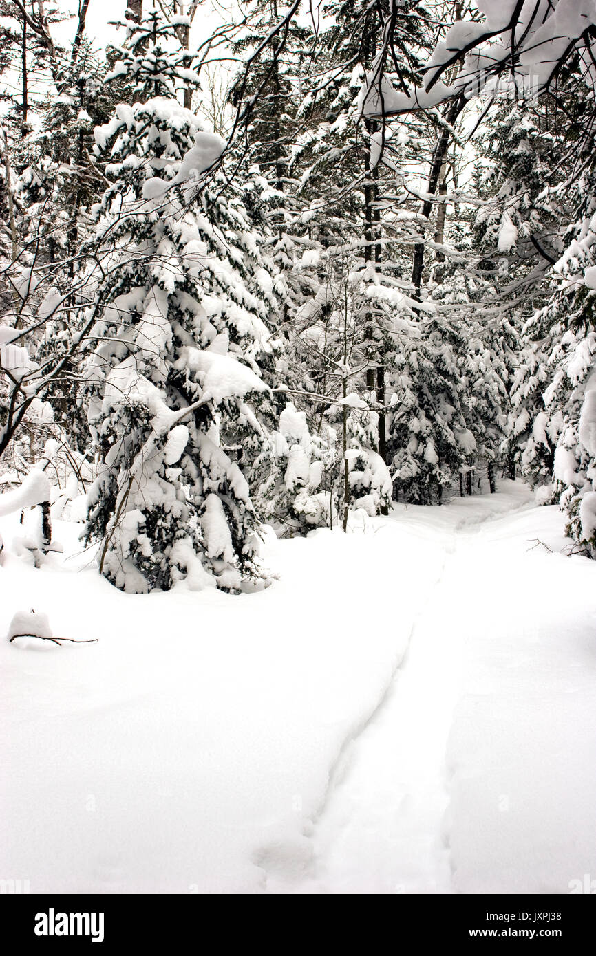 Ontario winter landscape hi-res stock photography and images - Alamy