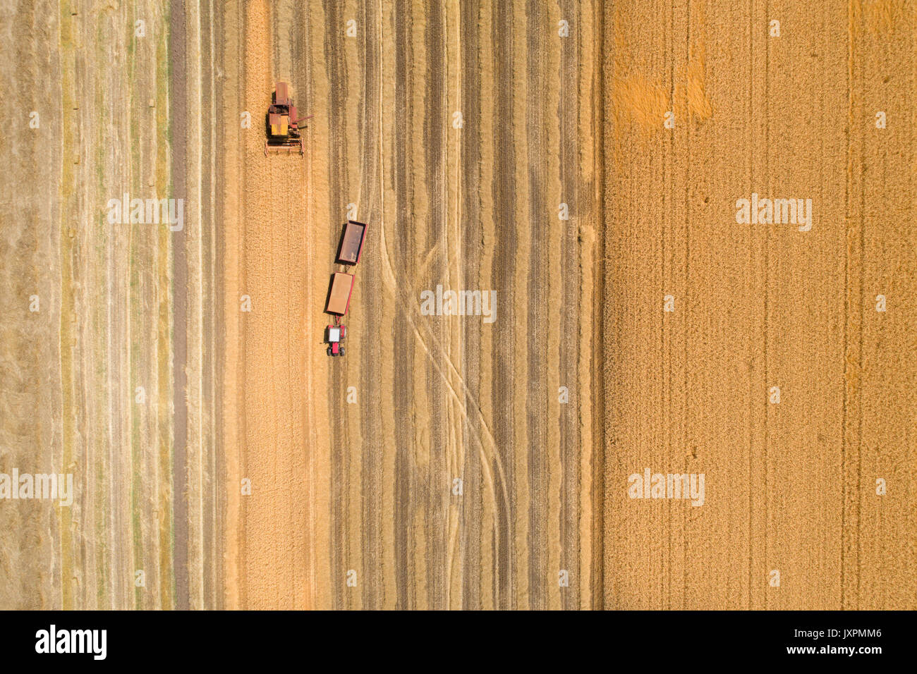 Top view of combine harvester and tractor with two trailers working in ...