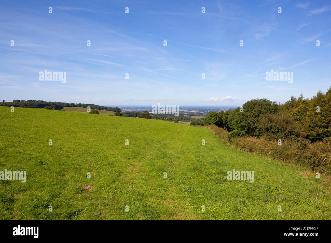 Hillside green pasture overlooking hi-res stock photography and images ...
