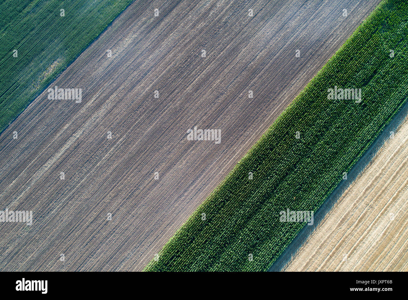 Abstract image of farmlands. Top view of various crop fields Stock ...