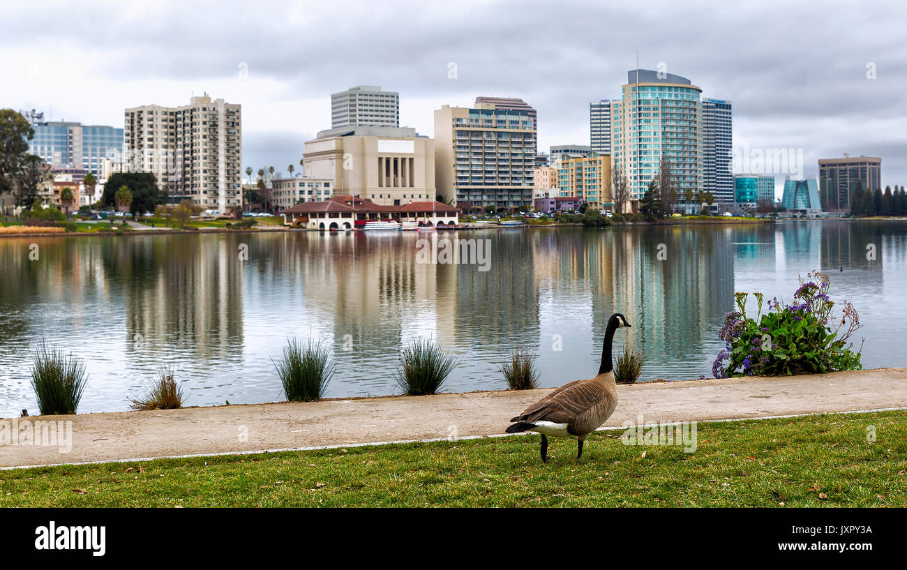 Beautiful Lake Merritt Oakland Lake Merritt & Cleveland Cascade
