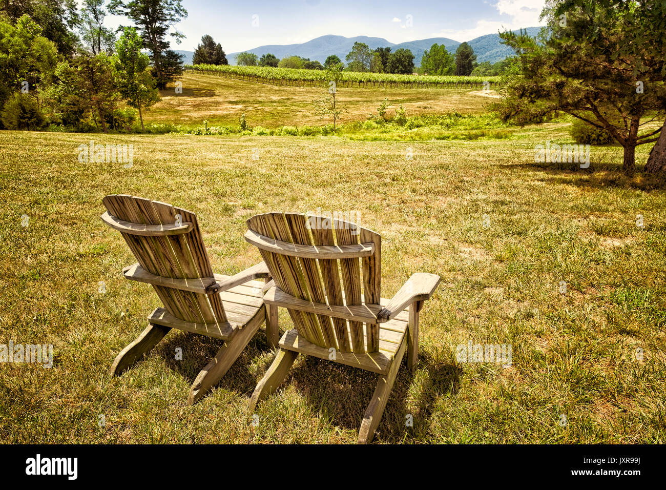 Pair of Adirondack chairs facing a vineyard landscape view. Location ...