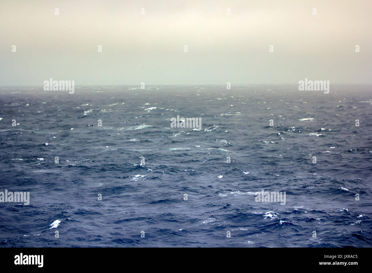 Kara sea (basin of Arctic ocean) in high Arctic (Novaya Zemlya ...