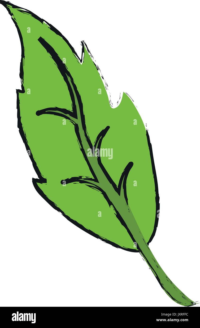 single leaf icon image Stock Vector Image & Art - Alamy