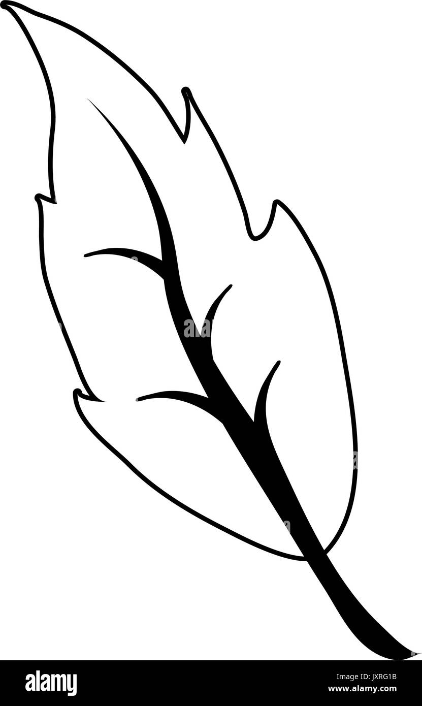 single leaf icon image Stock Vector Image & Art - Alamy