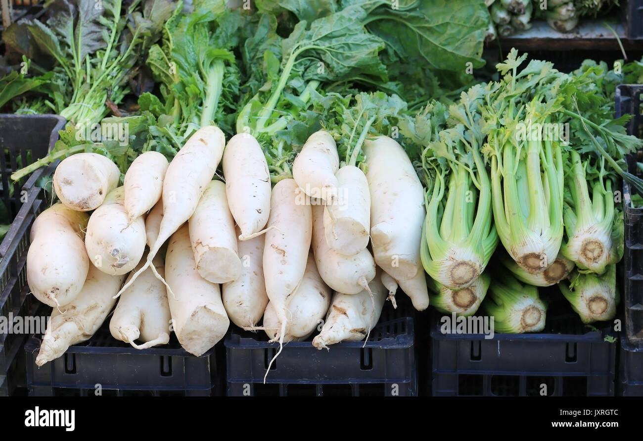 Parsnip leaves root hi-res stock photography and images - Alamy