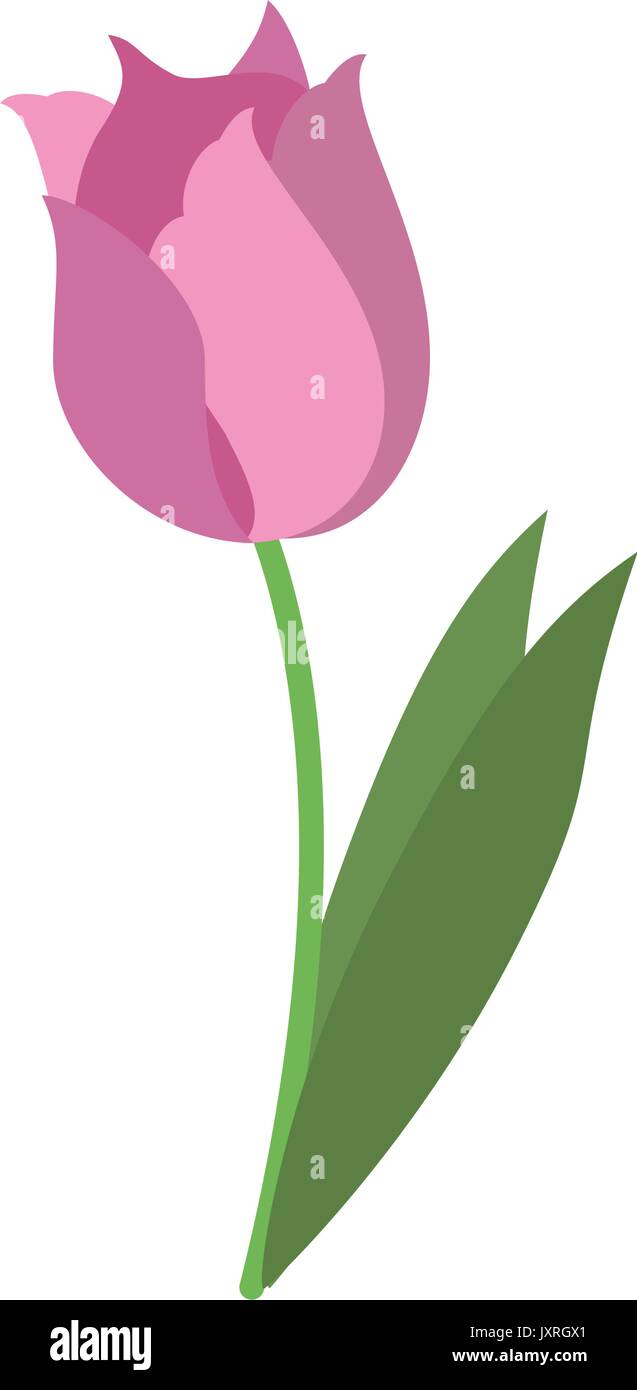 delicate flower icon image Stock Vector Image & Art - Alamy