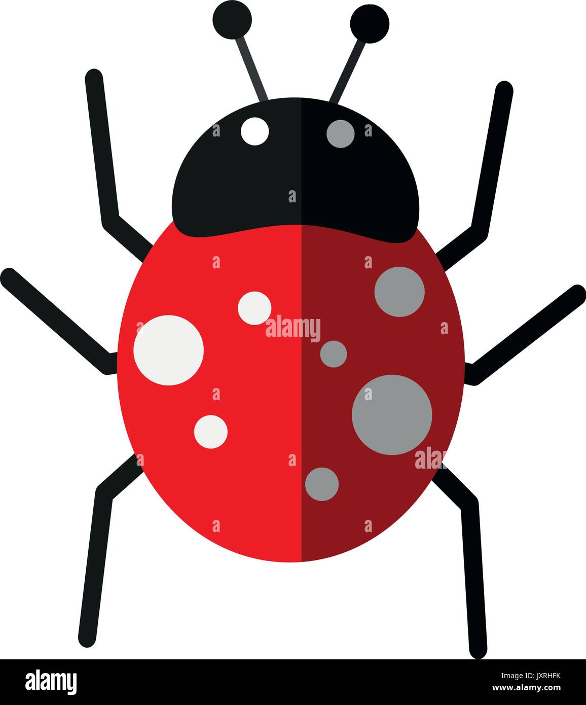 insect icon image Stock Vector Image & Art - Alamy