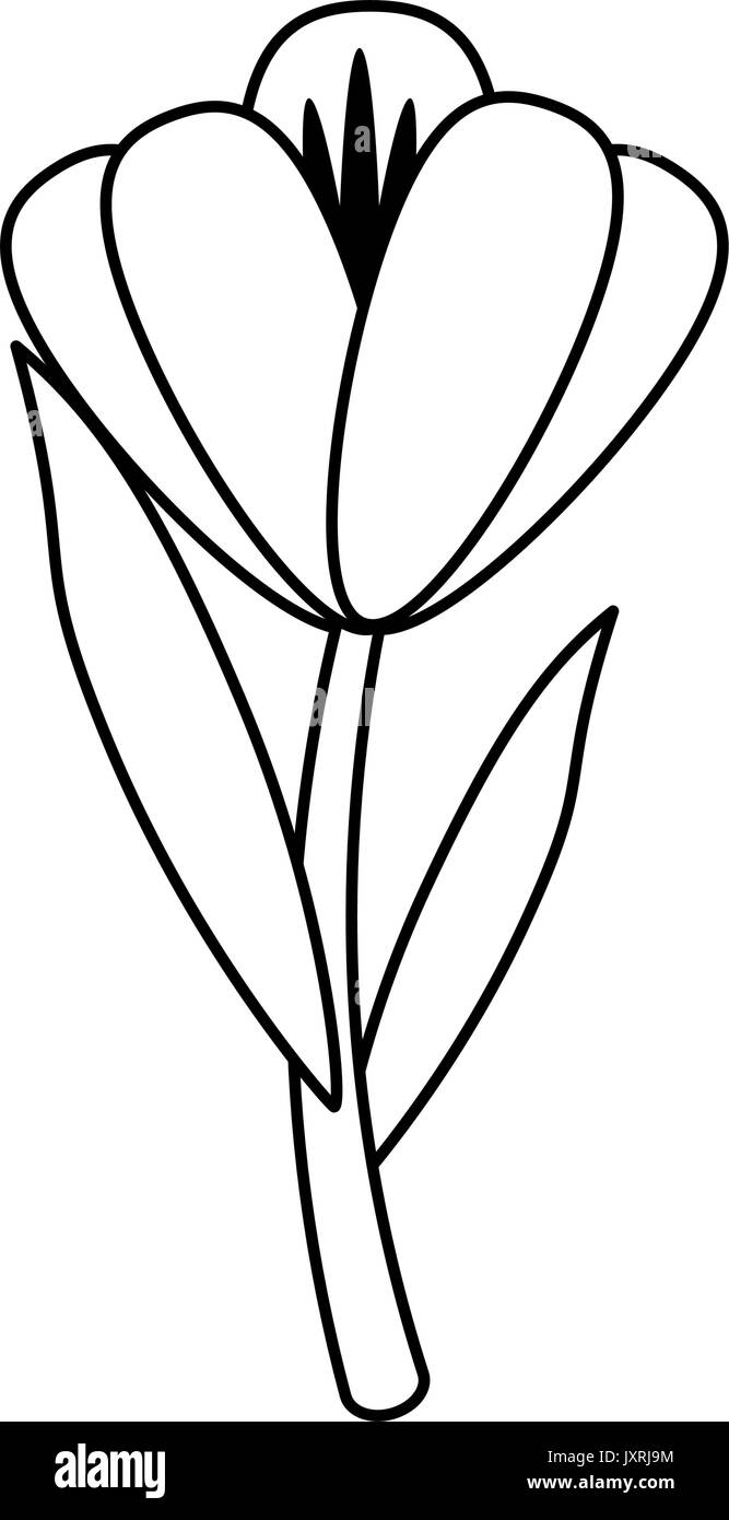 delicate flower icon image Stock Vector Image & Art - Alamy