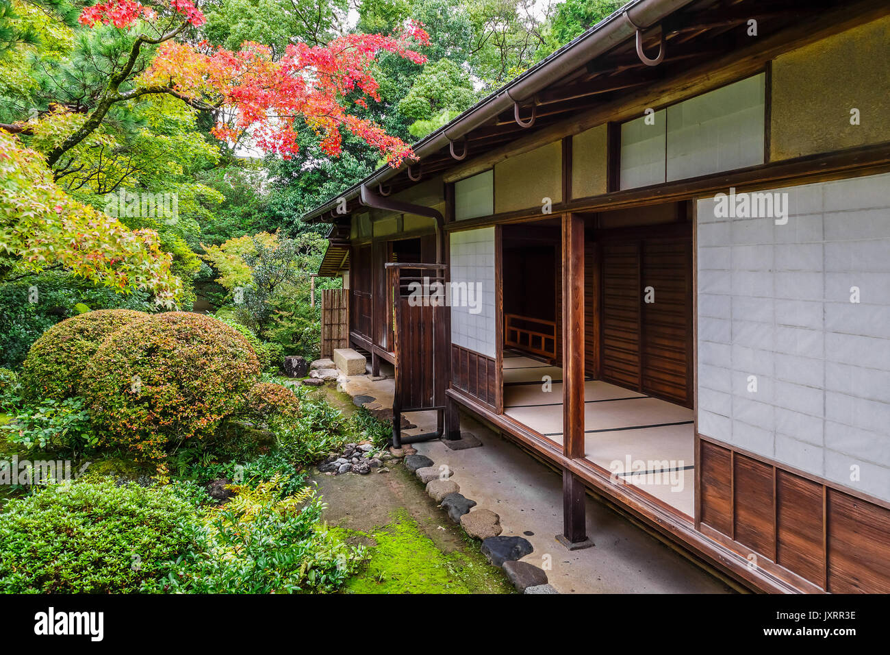 Koto in temple kyoto autumn hi-res stock photography and images - Alamy