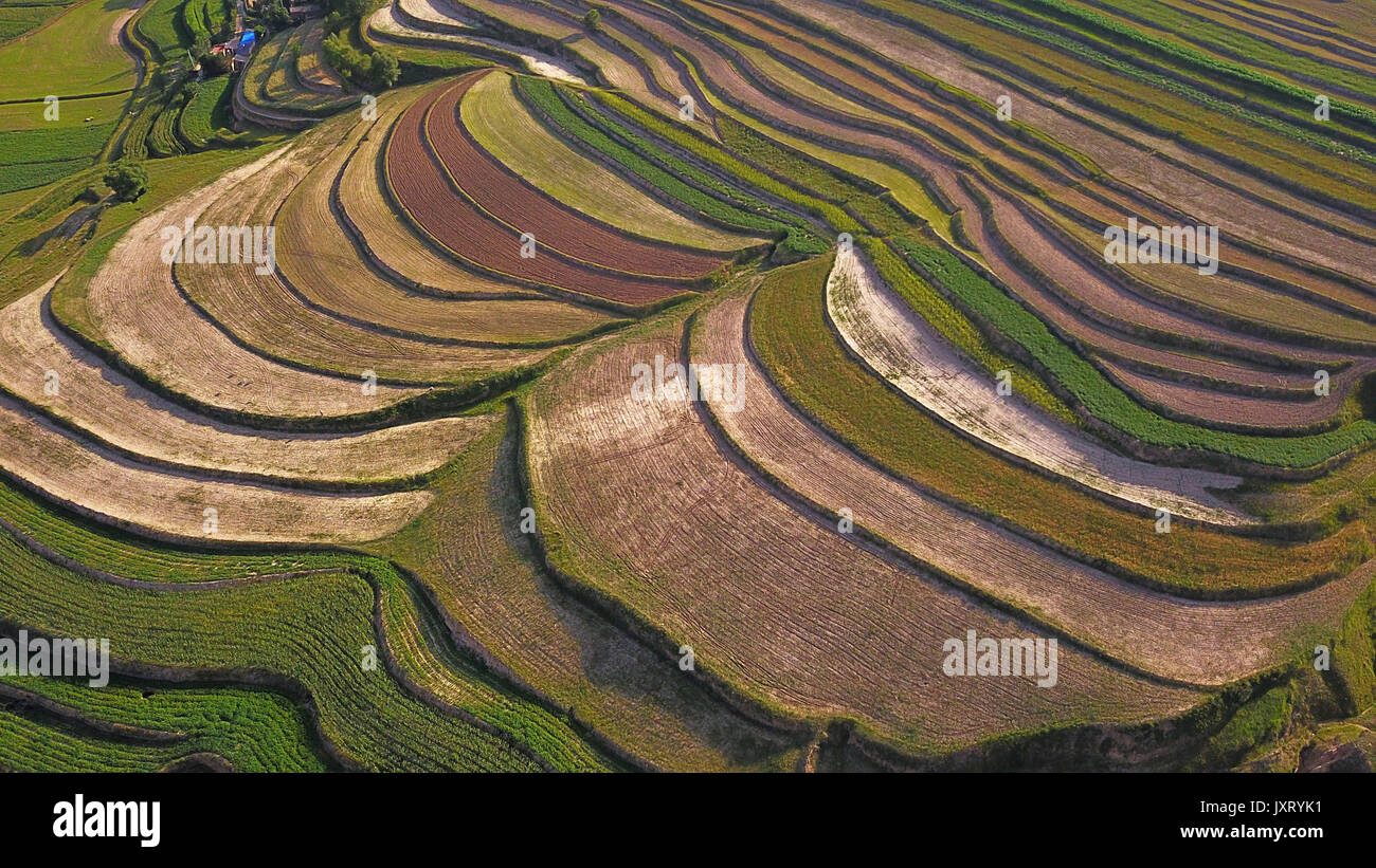 Baiya hi-res stock photography and images - Alamy