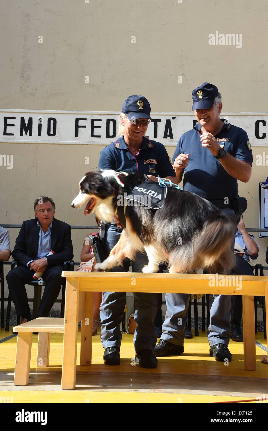 San Rocco (Camogli): Dog Award 2017. In the photo: Night, Australian ...