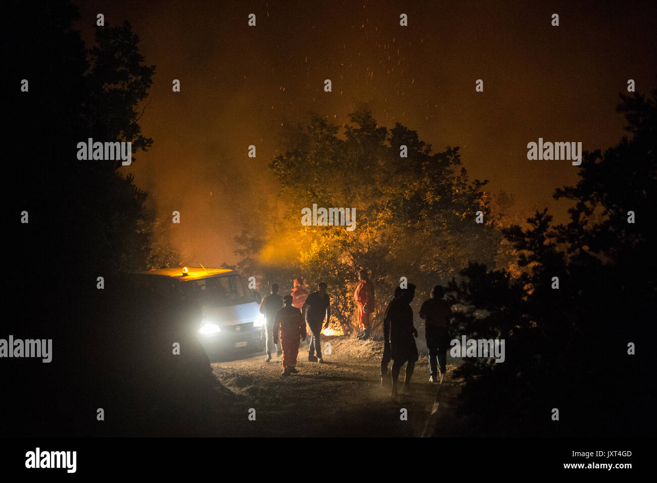 Strong, large fires destroy thousands of acres of woodland between the ...