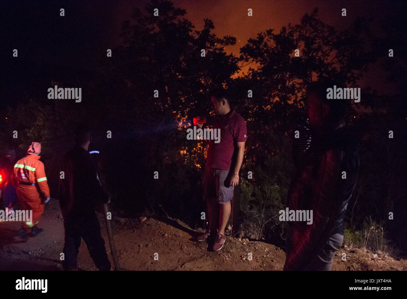 Strong, large fires destroy thousands of acres of woodland between the ...