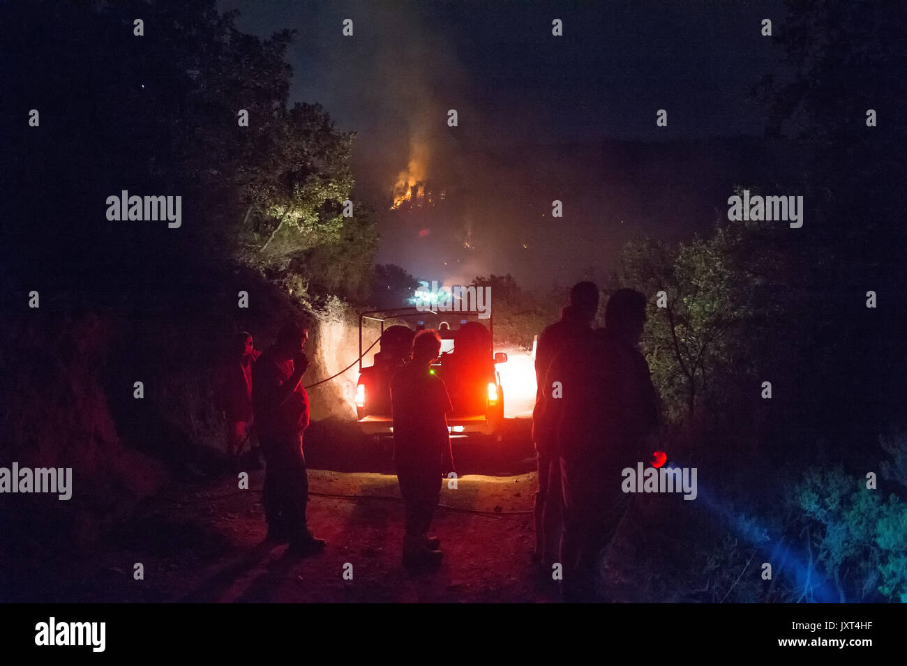 Strong, large fires destroy thousands of acres of woodland between the ...