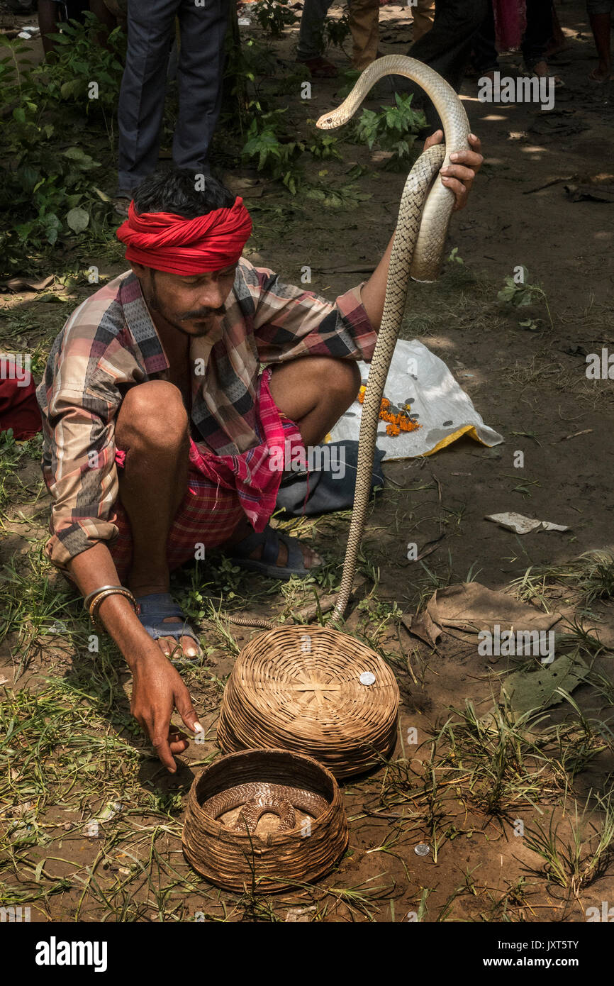 Hindu goddess of snakes hi-res stock photography and images - Alamy