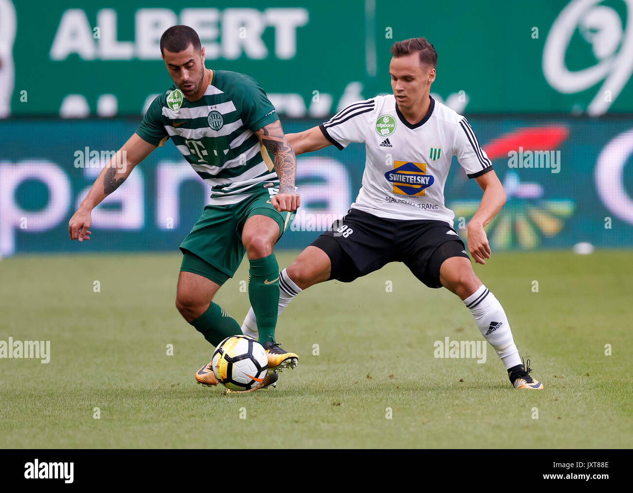 Mate toth hi-res stock photography and images - Alamy