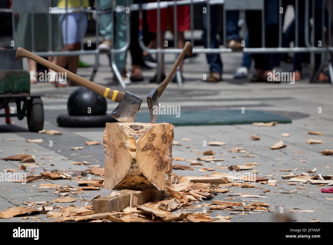 Chopped Tree Trunk High Resolution Stock Photography and Images - Alamy