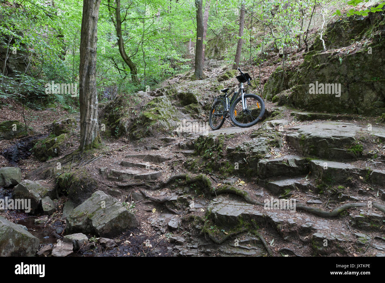 Mountain bike on tourist stone path in the woods Stock Photo - Alamy