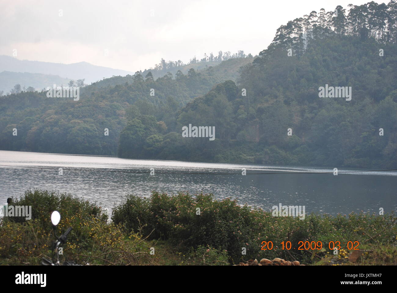 Indian lilly hi-res stock photography and images - Alamy
