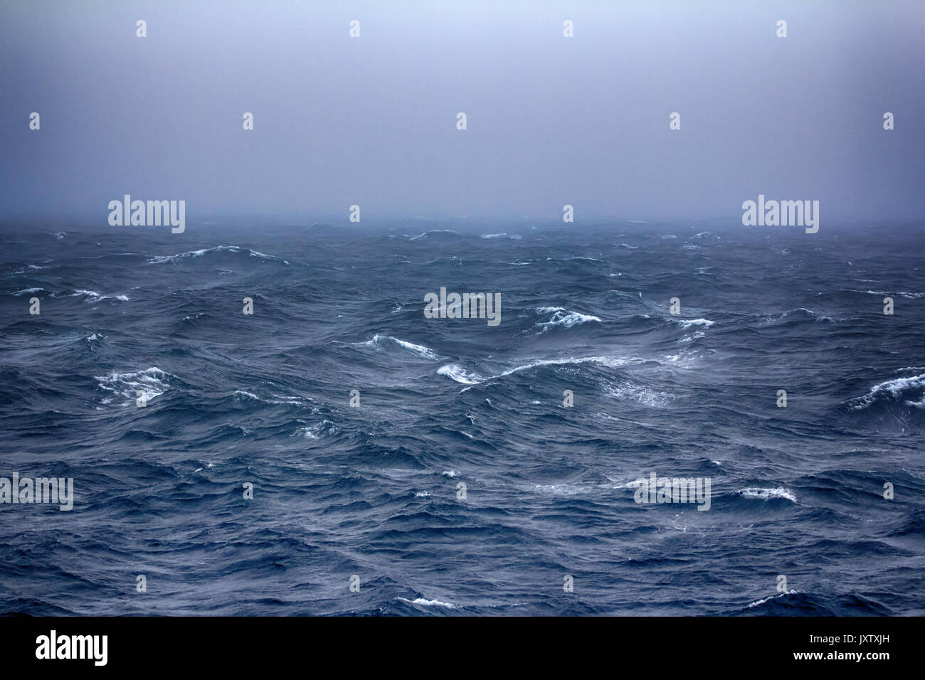 Kara sea (basin of Arctic ocean) in high Arctic (Novaya Zemlya ...