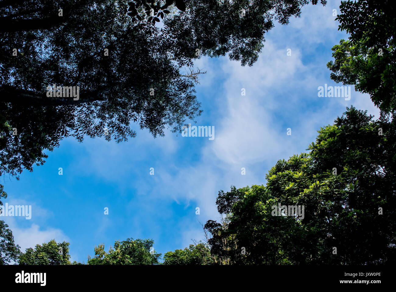 blue sky with cloud, nature frame and background Stock Photo - Alamy
