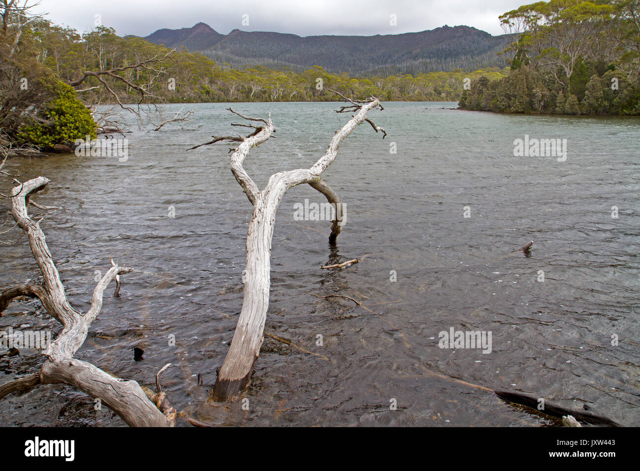 Shadow Lake in Cradle Mountain-Lake St Clair National Park Stock Photo ...
