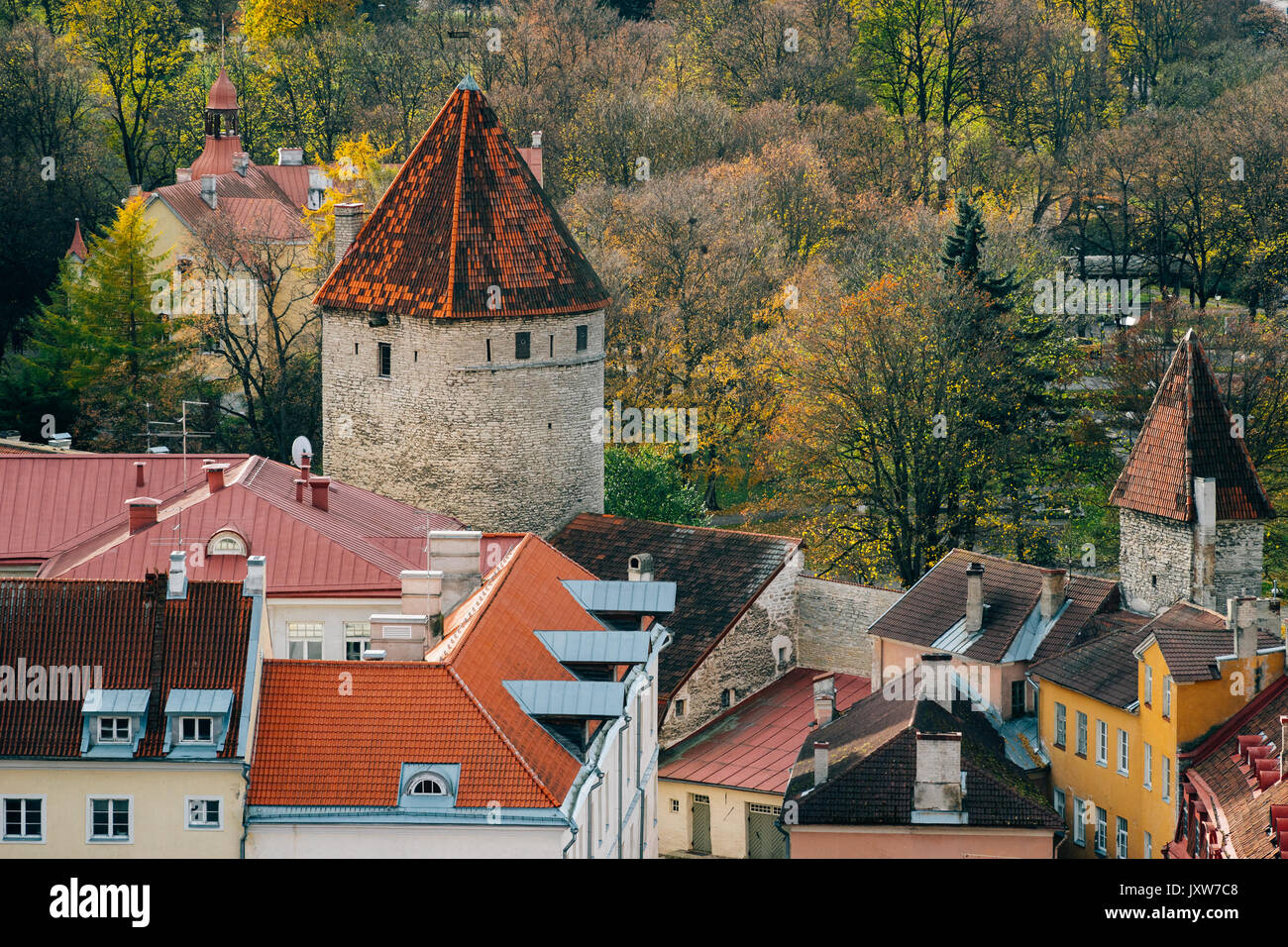 Tallinn city towers and roofs from above view by autumn day, Estonia ...