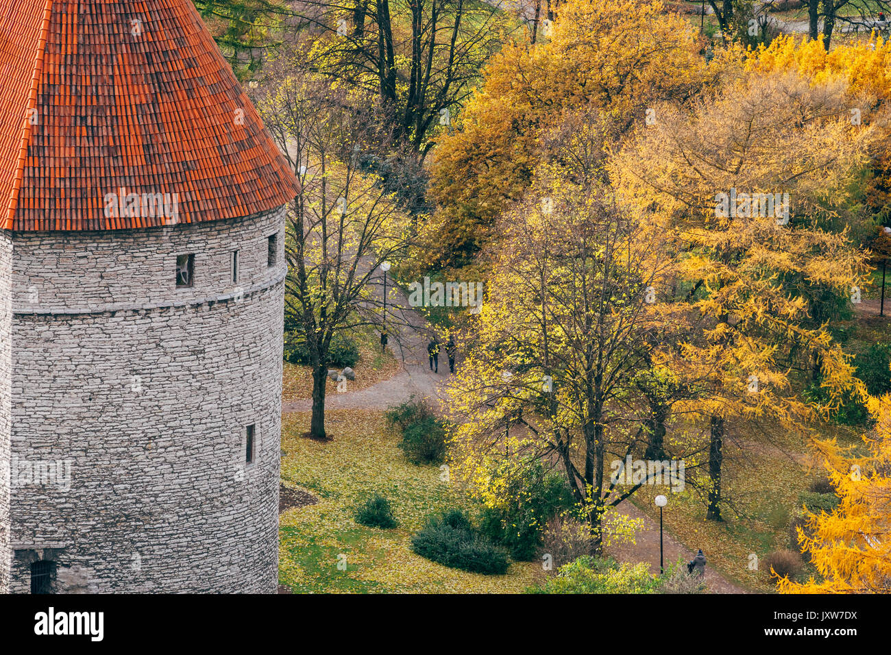 Medieval tower and colorful autumnal park. Fall season scene Stock ...