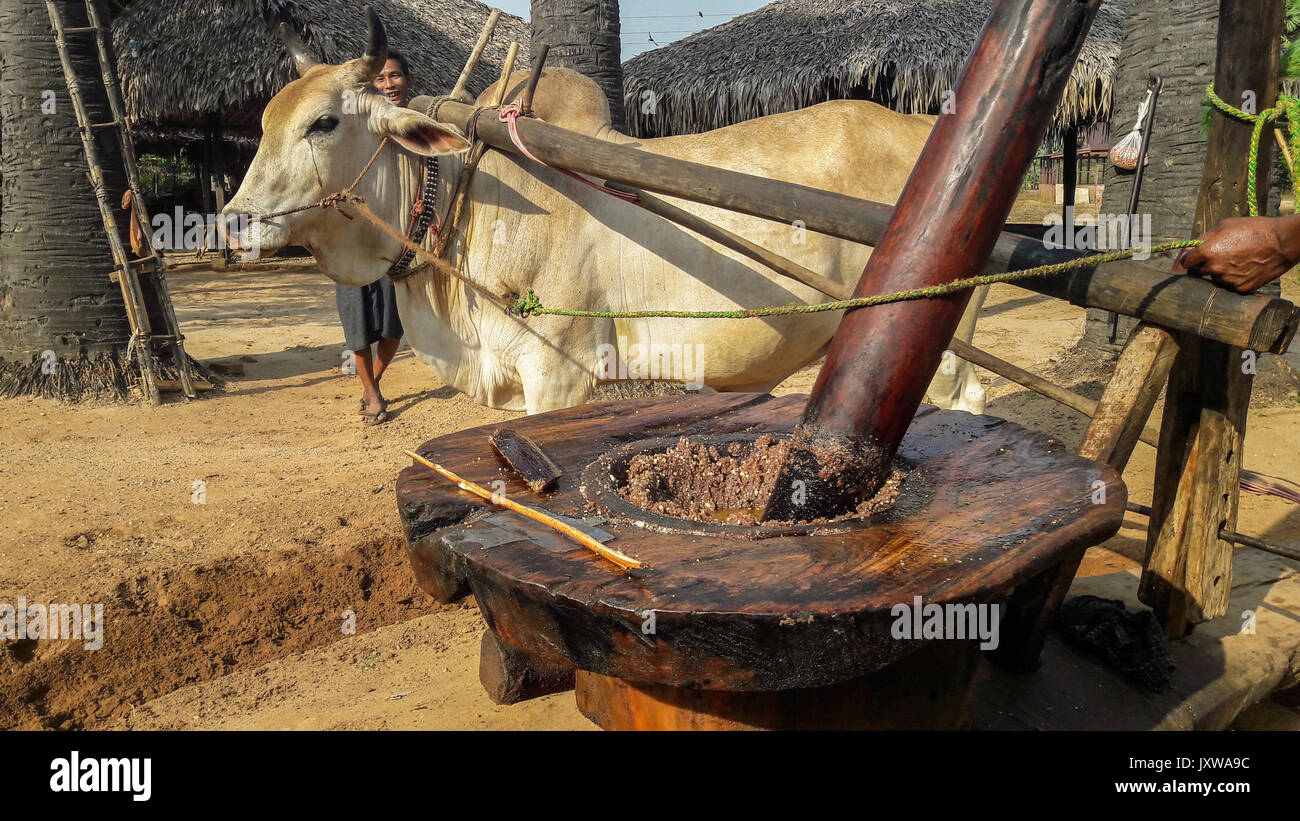 Mount Popa - Myanmar Stock Photo - Alamy