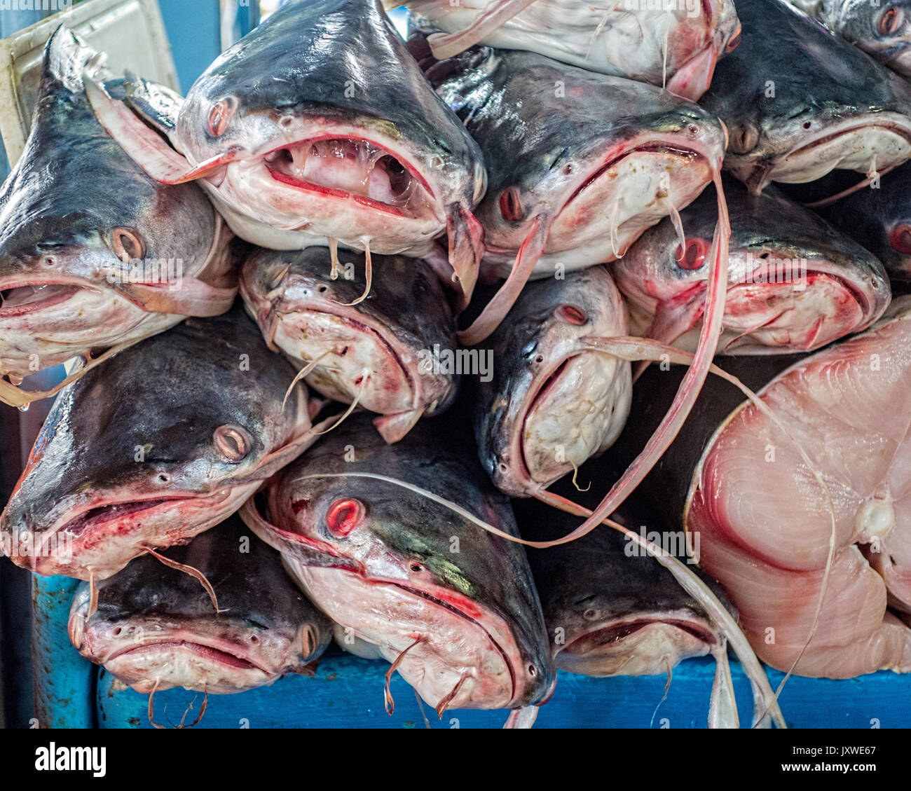 Stack of Fish For Sale at Local Market in Cuenca, Ecuador Stock Photo ...