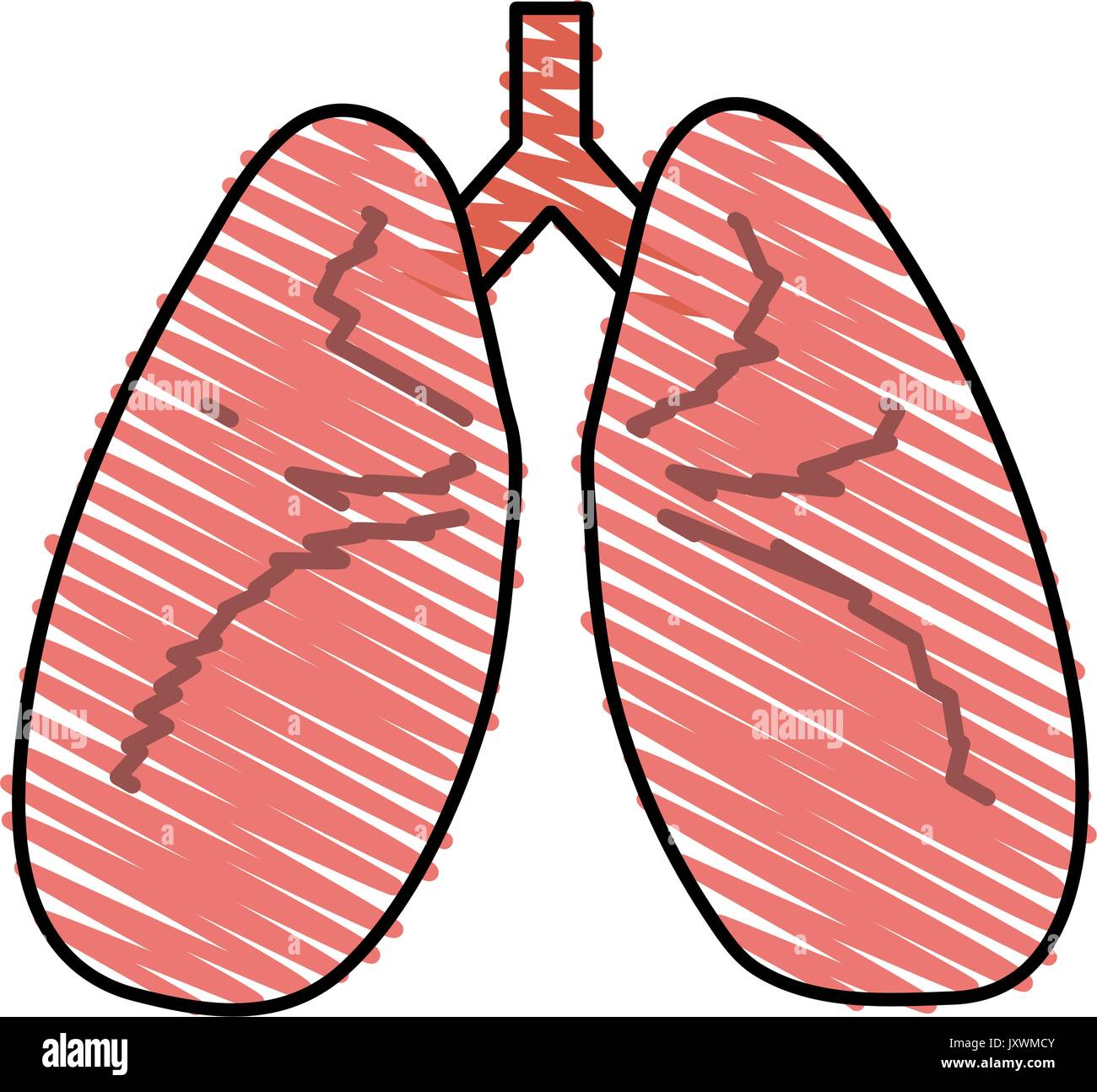 lungs vector illustration Stock Vector Image & Art - Alamy
