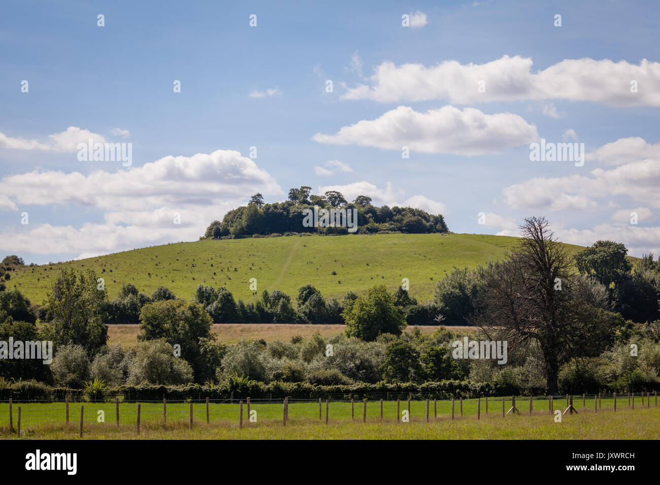 Wittenham clumps hi-res stock photography and images - Alamy
