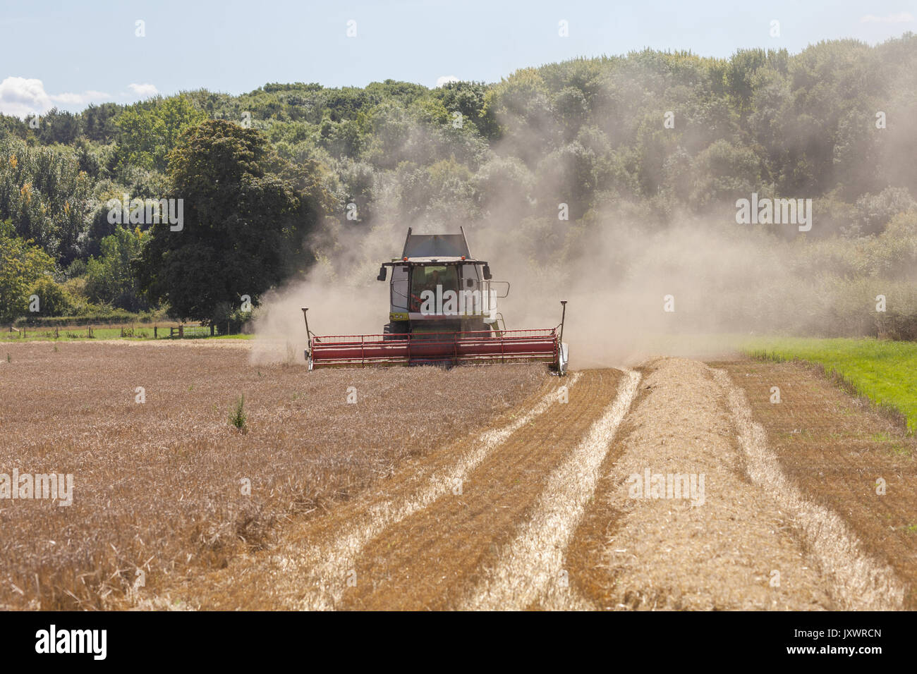 Modern harvester hi-res stock photography and images - Alamy