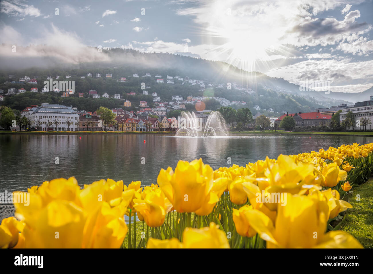 Bryggen morning hi-res stock photography and images - Alamy