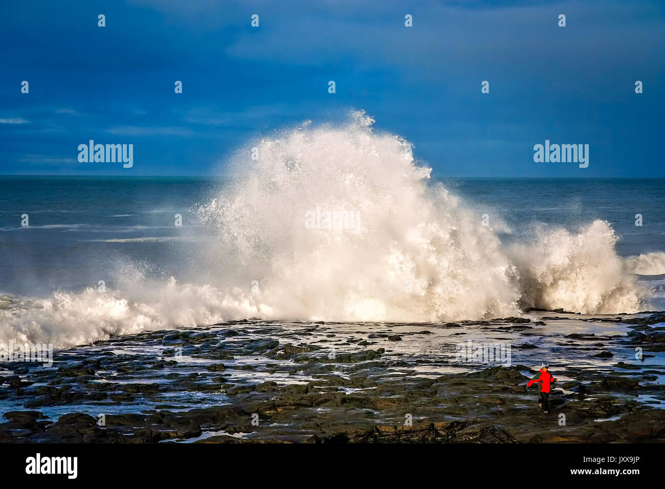 Woman in red jacket is escaping incoming big wave on the coast in South ...